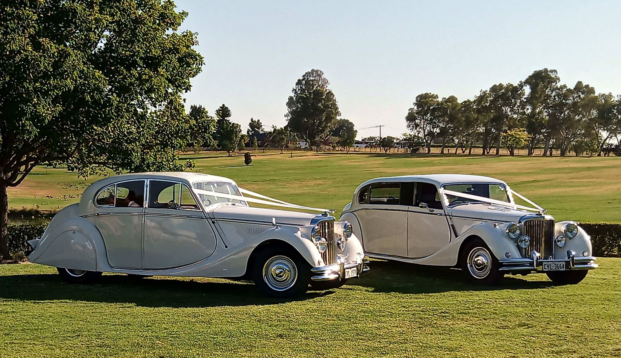 Jaguar MK V Limousine - Limousines and Classics Perth